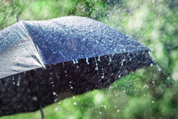 Matale receives the highest rainfall. - Sri Lanka News
